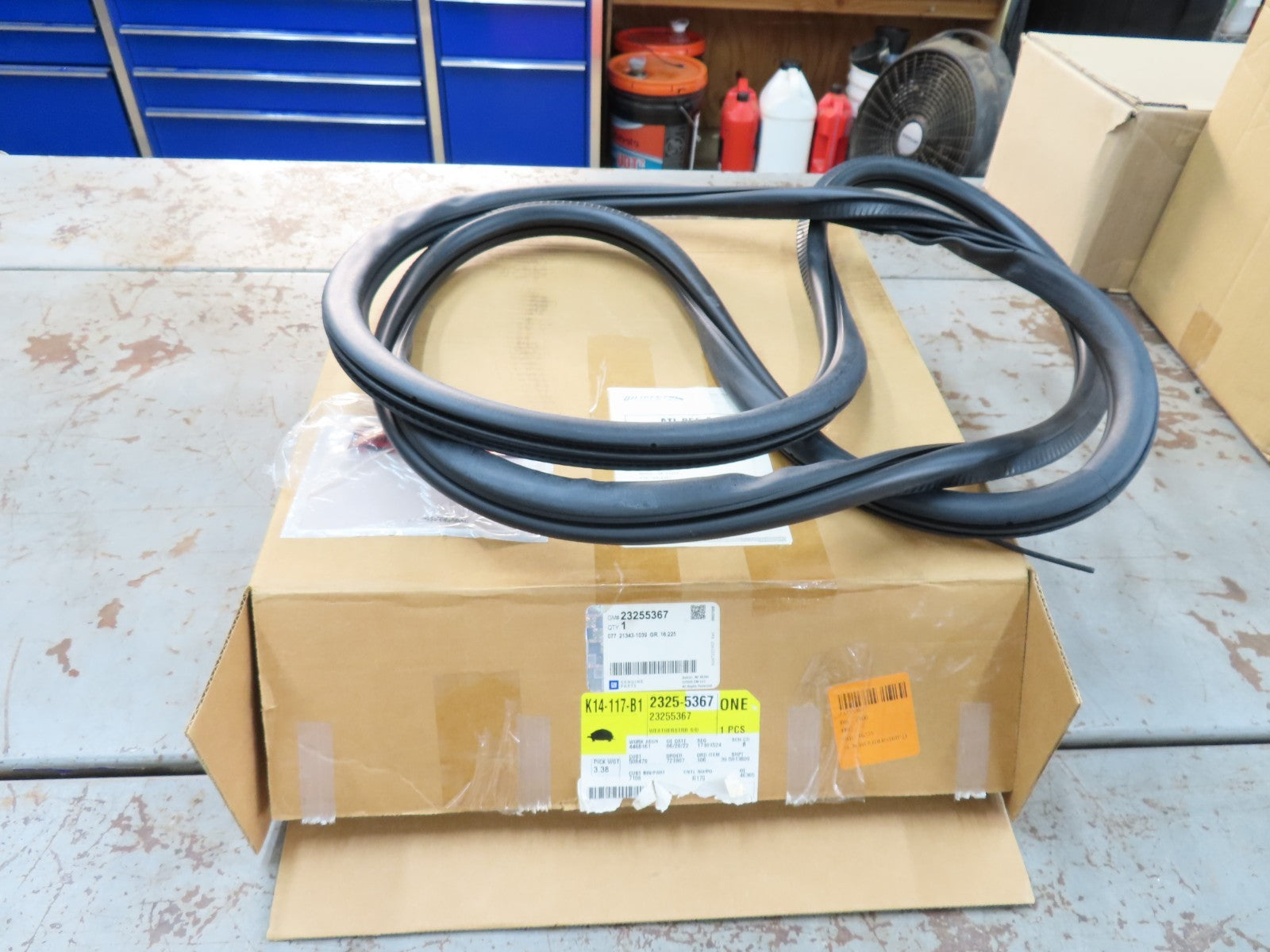 GM 23255367 Weatherstrip Door Seal Rear General Motors – Cottonwood ...